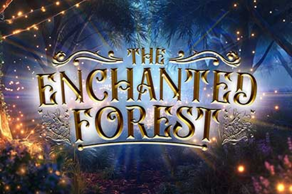 Tulleys Christmas Light Festival